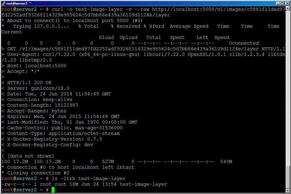 Docker Tutorial Series Part 7 Ultimate Guide For Docker Apis Ntt Data