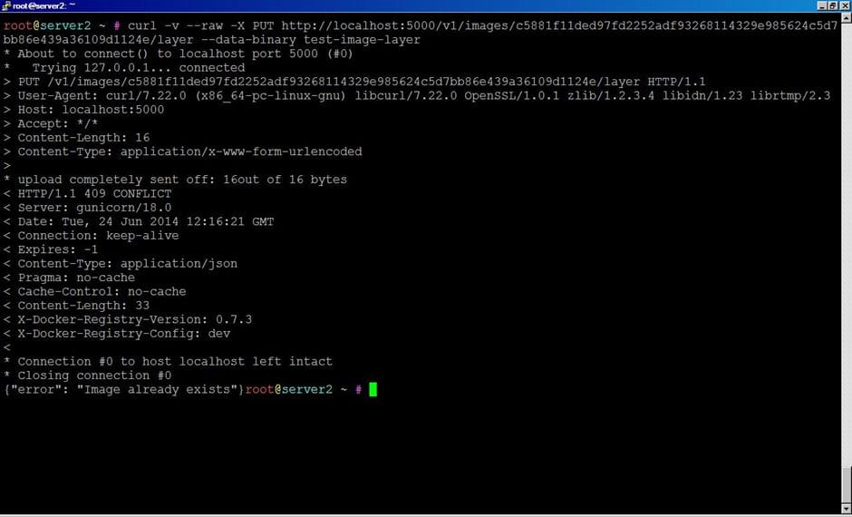 Docker Tutorial Series Part 7 Ultimate Guide For Docker Apis Ntt Data